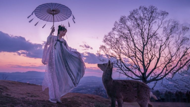 9 Spellbinding Japanese Fairy Tales - SWW