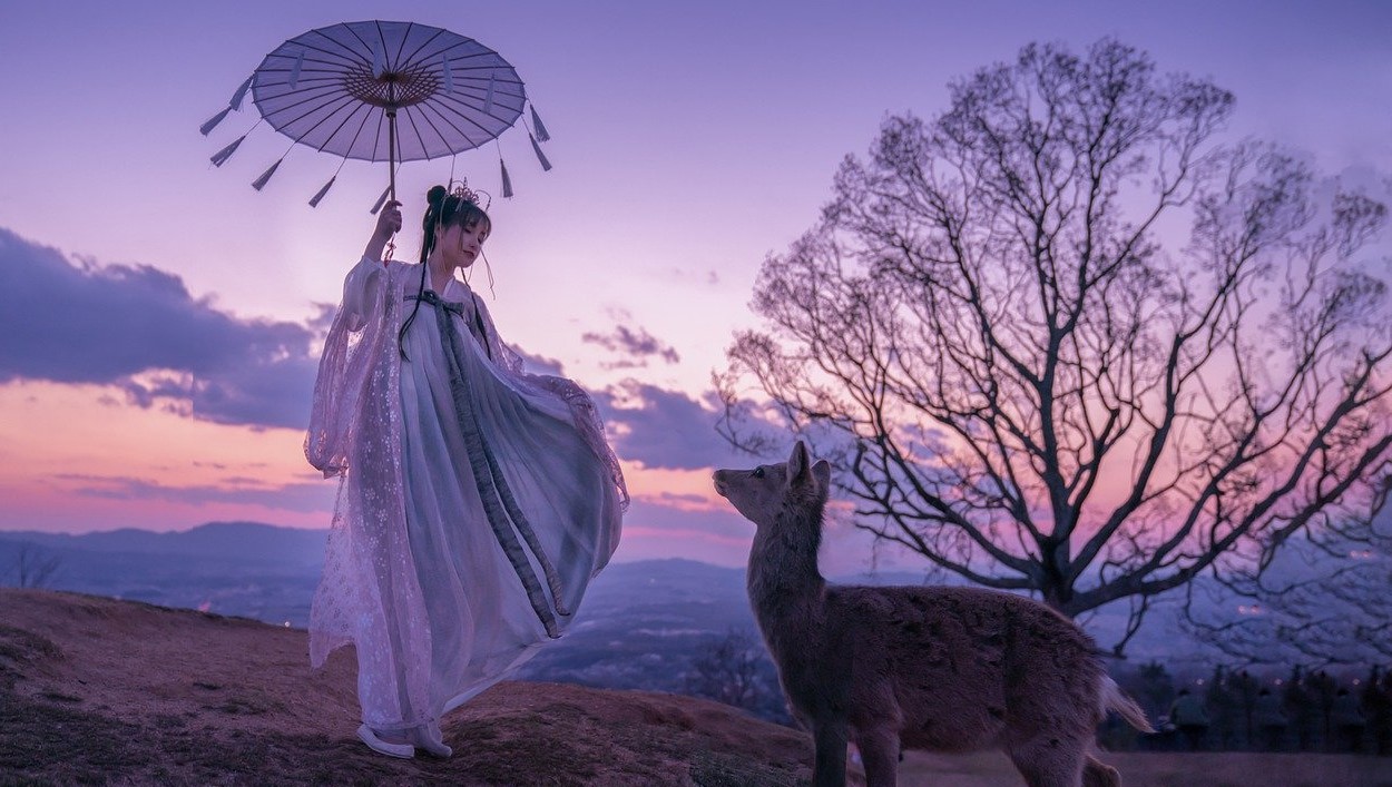9 Spellbinding Japanese Fairy Tales - SWW