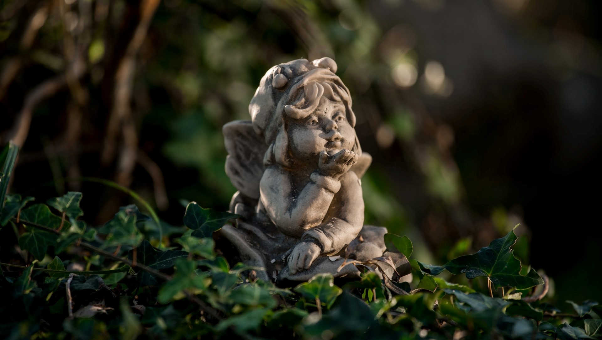 9 Irish Fairy Tales Filled with Magic - SWW