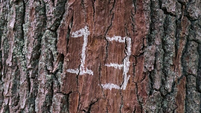 The Most Magical Numbers in Fairy Tales - SWW