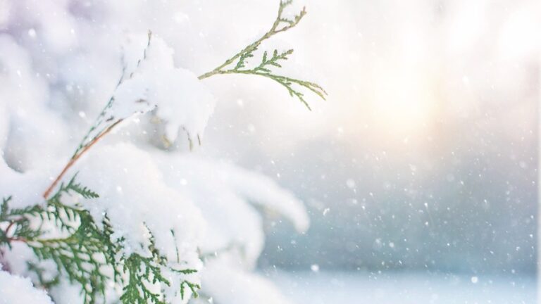 12 Christmas Fairy Tales for December - SWW